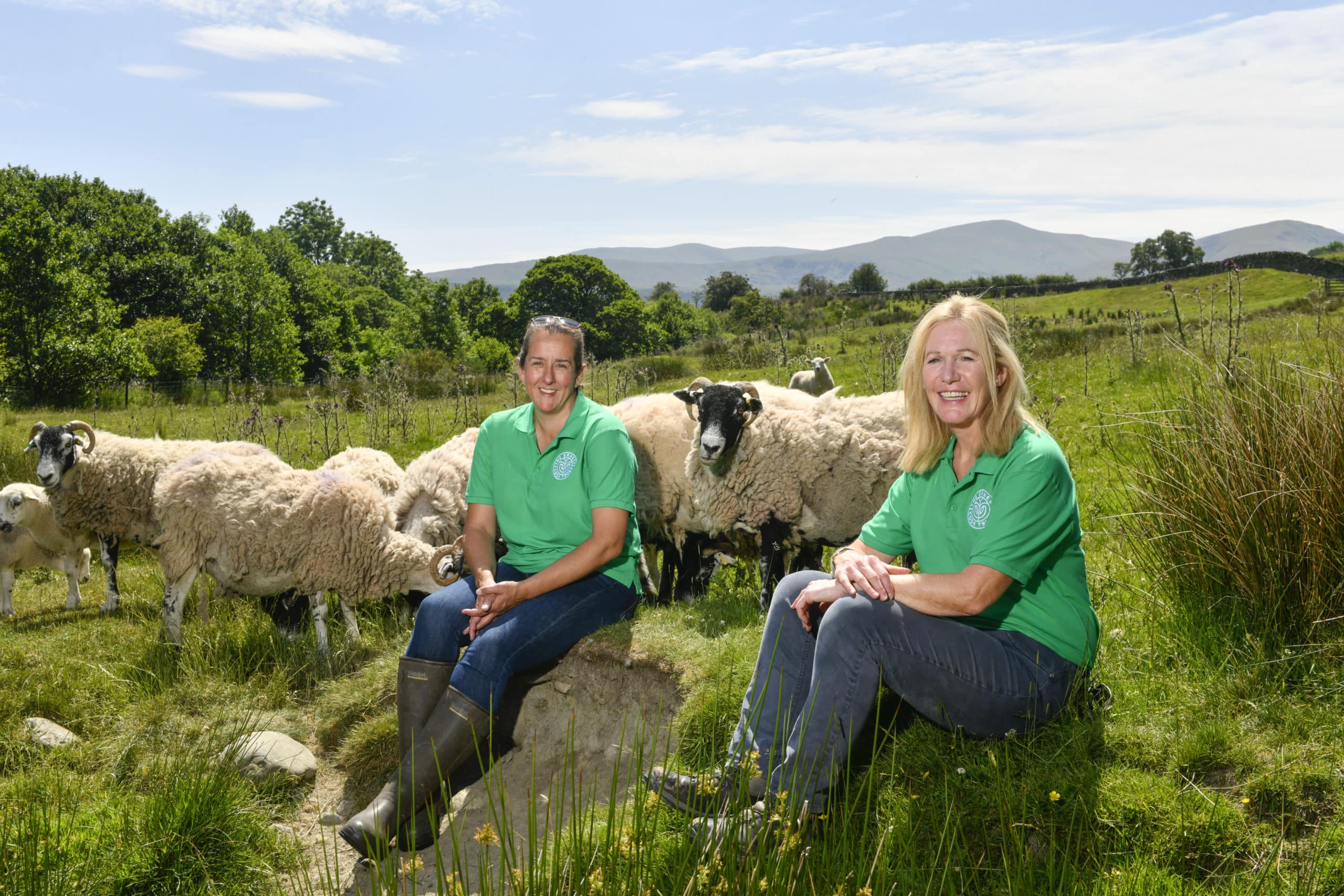Learning from the land at Low Beckside Farm - Word Worker